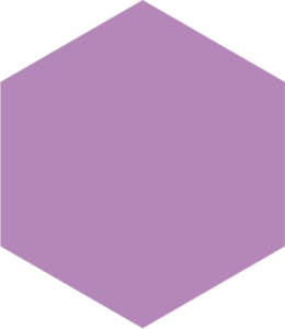 TXstream - Balance of Payment Reporting Made Simple - Synthesis